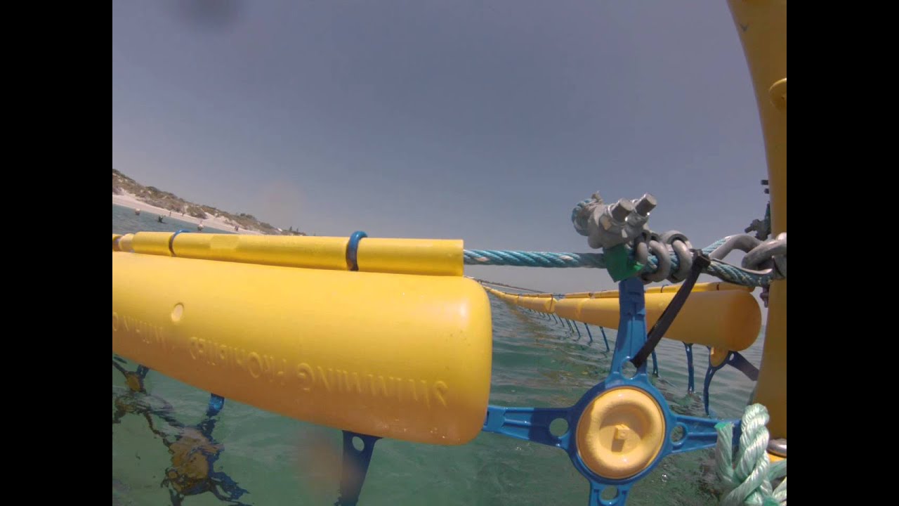 Shark barrier net Coogee beach Western Australia gopro - YouTube