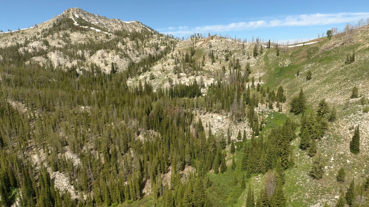 Trinity Lakes Idaho July 2020 - YouTube