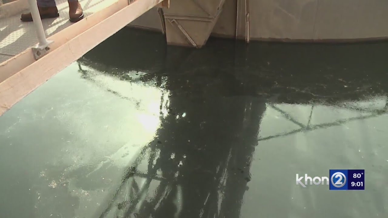 Risks posed by exceedance of fecal bacteria from Kailua wastewater ...