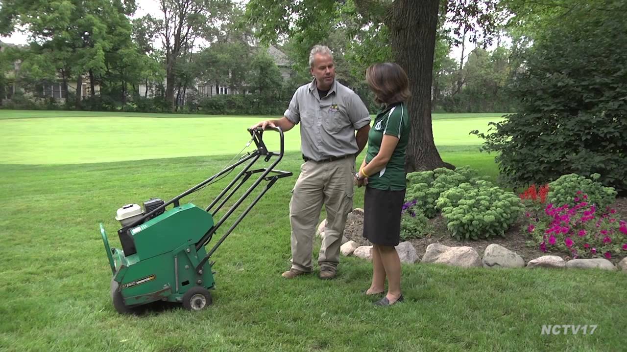 Business Connection - Green T Services - YouTube