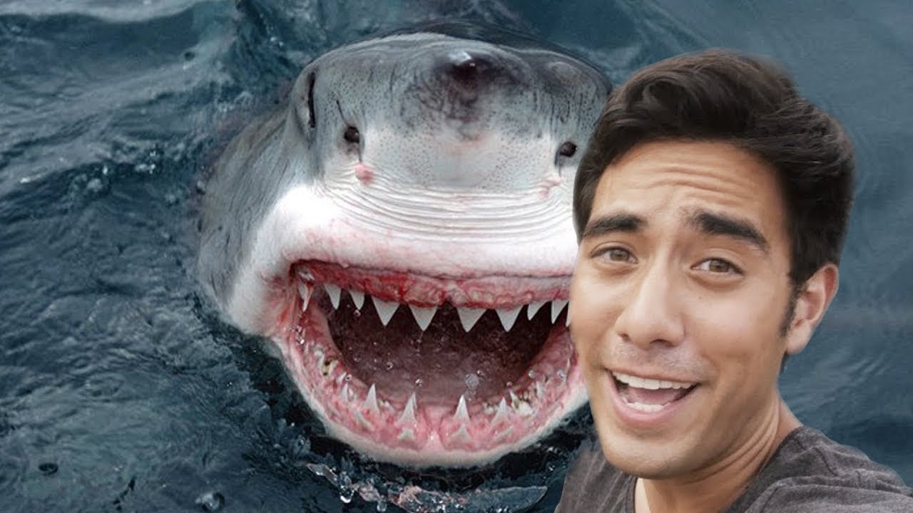 Top New Zach King Funny Magic Vines 2022 (Part 8) - YouTube
