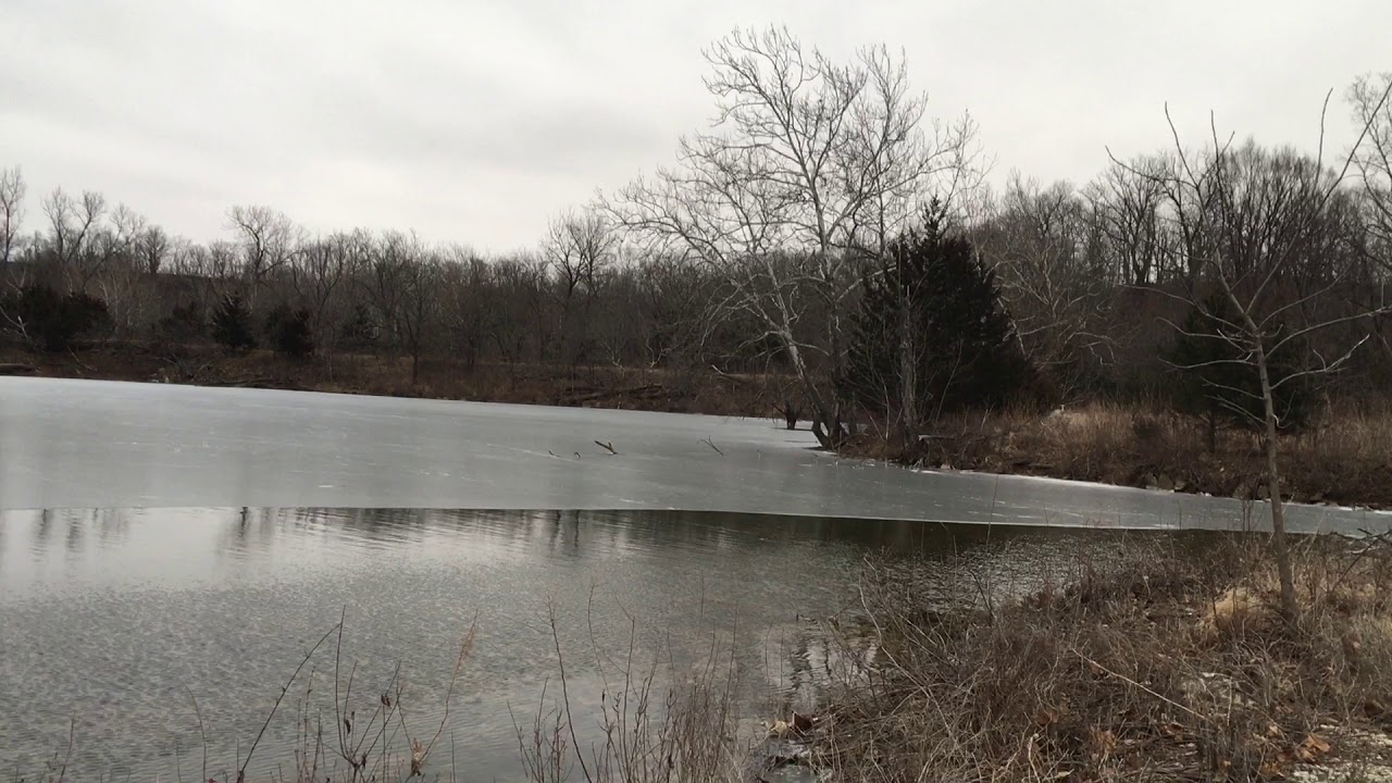 Heidi Wade- Phenomenon - YouTube