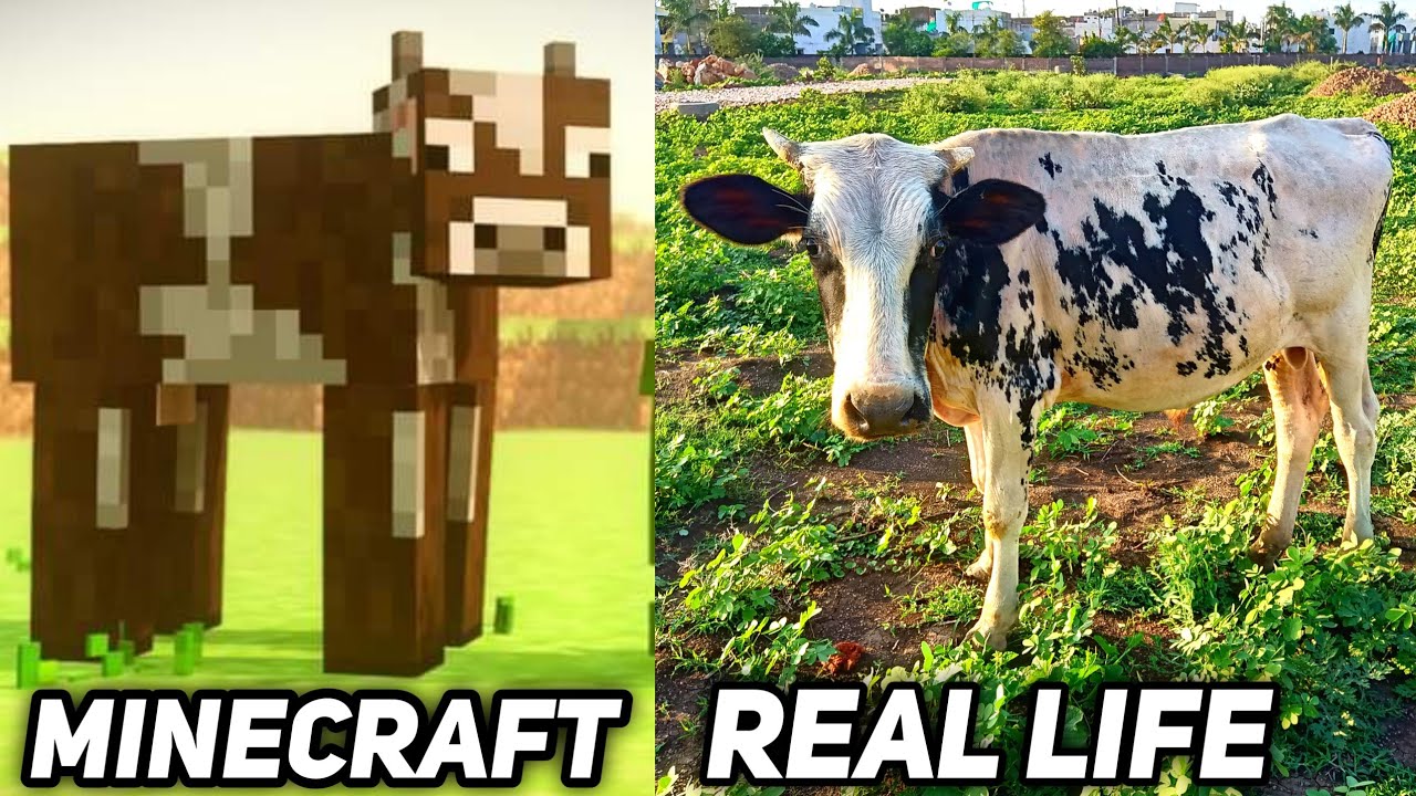 MINECRAFT IN REAL LIFE 😅 MINECRAFT VS REAL LIFE - YouTube