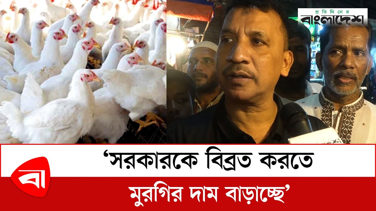 Broiler Chicken Price broiler-chicken-price
