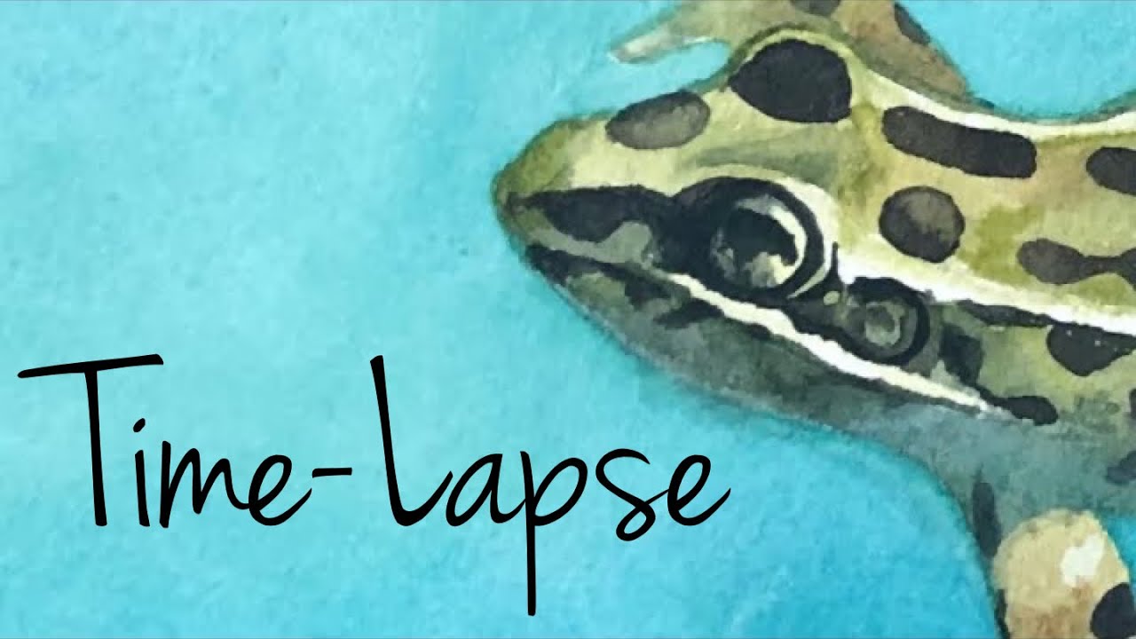 Frog Watercolour Time Lapse - YouTube