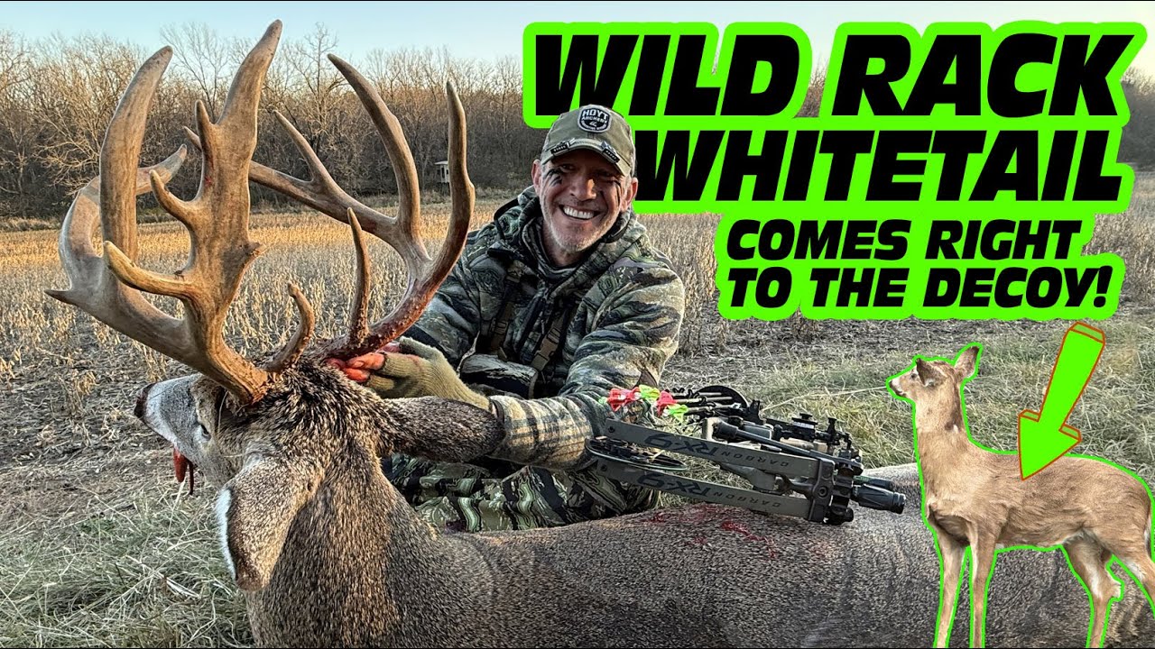 BIG WILD RACK WHITETAIL CHARGES RIGHT IN TO A DECOY AND GETS SMOKED ...