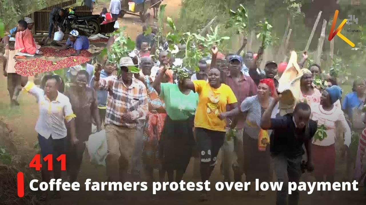 Coffee farmers protest over low payment - YouTube