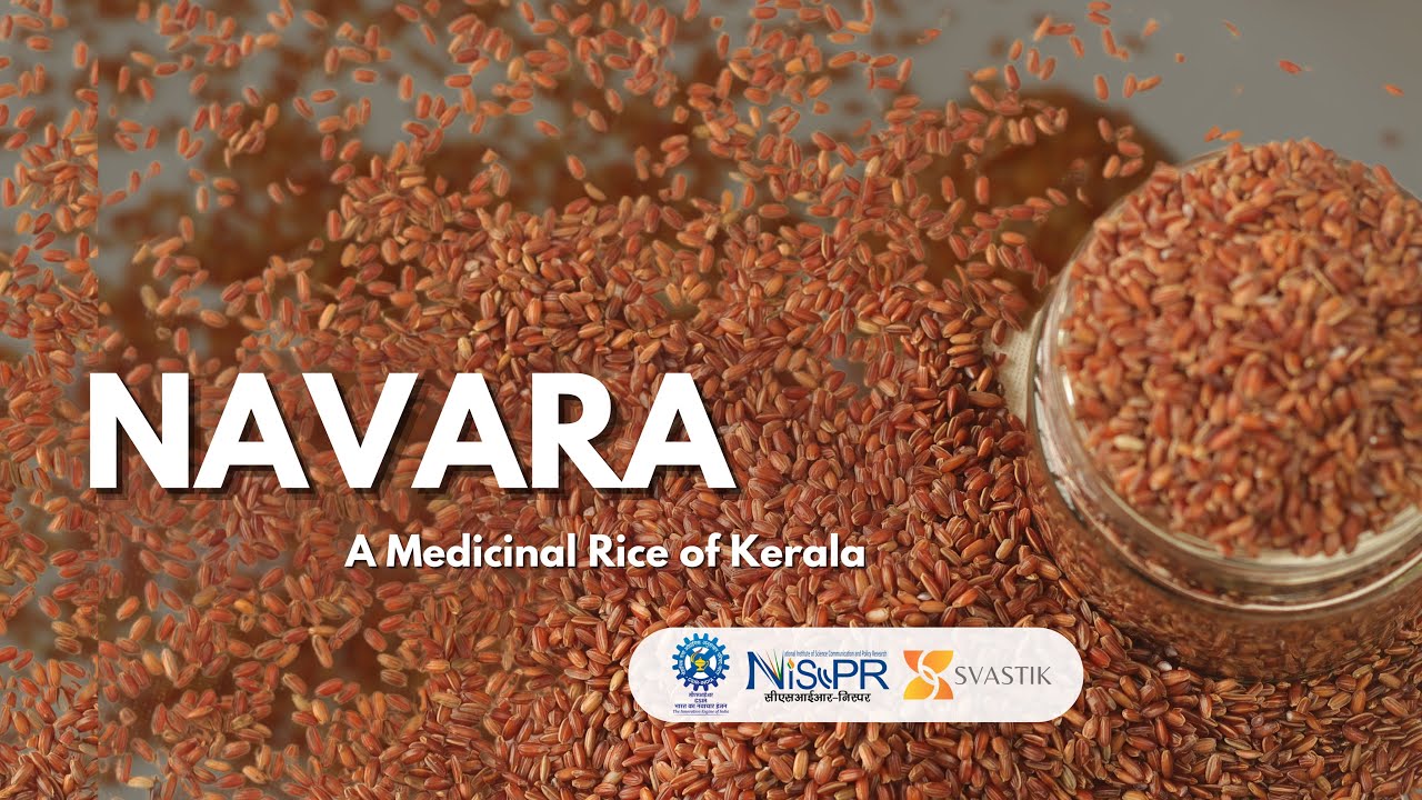 Navara - YouTube