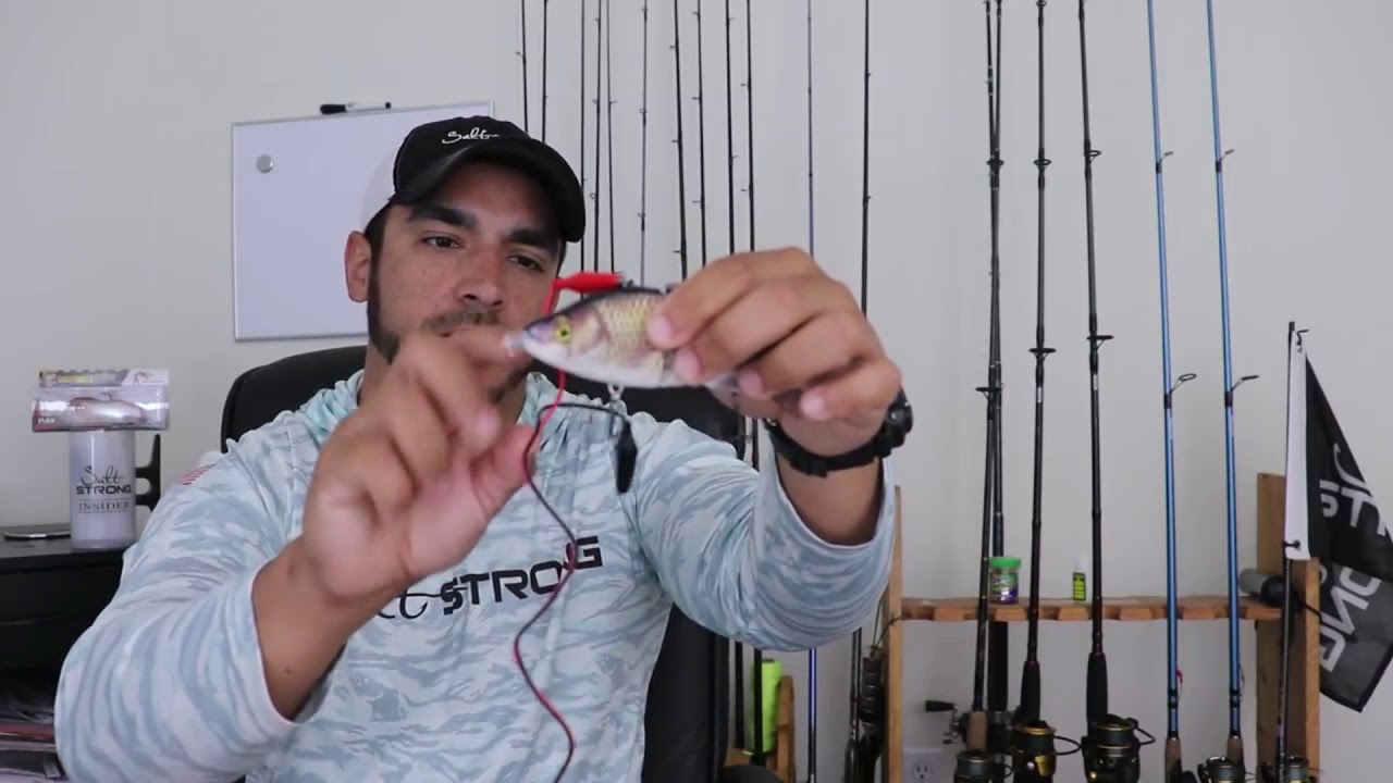 Robotic Lure How It Works - YouTube