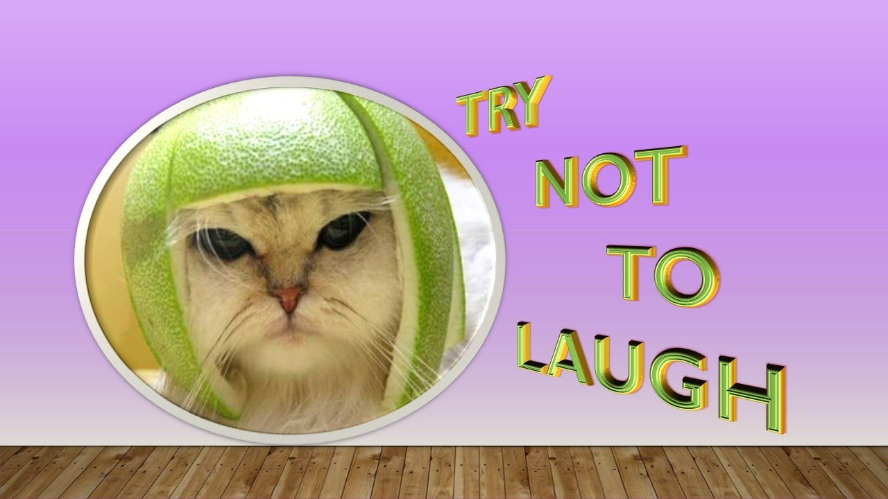 Funny Riddles And Brain Teasers With Answers - Too Funny (Riddles With ...