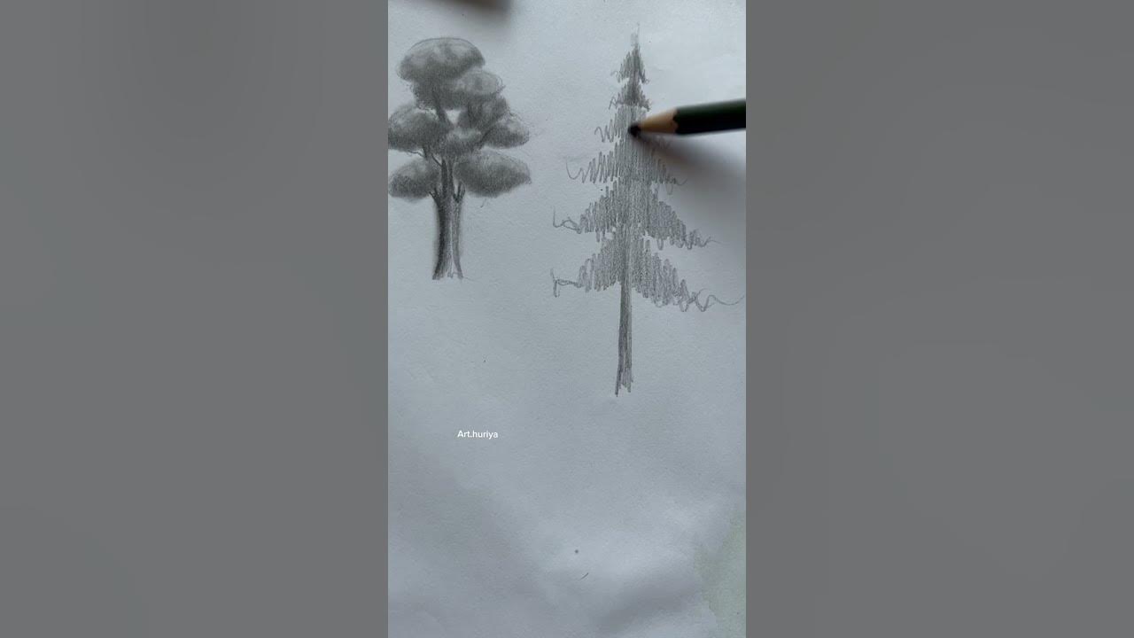 How to draw a pine tree 🌲 for beginner #draw #drawing #art # ...