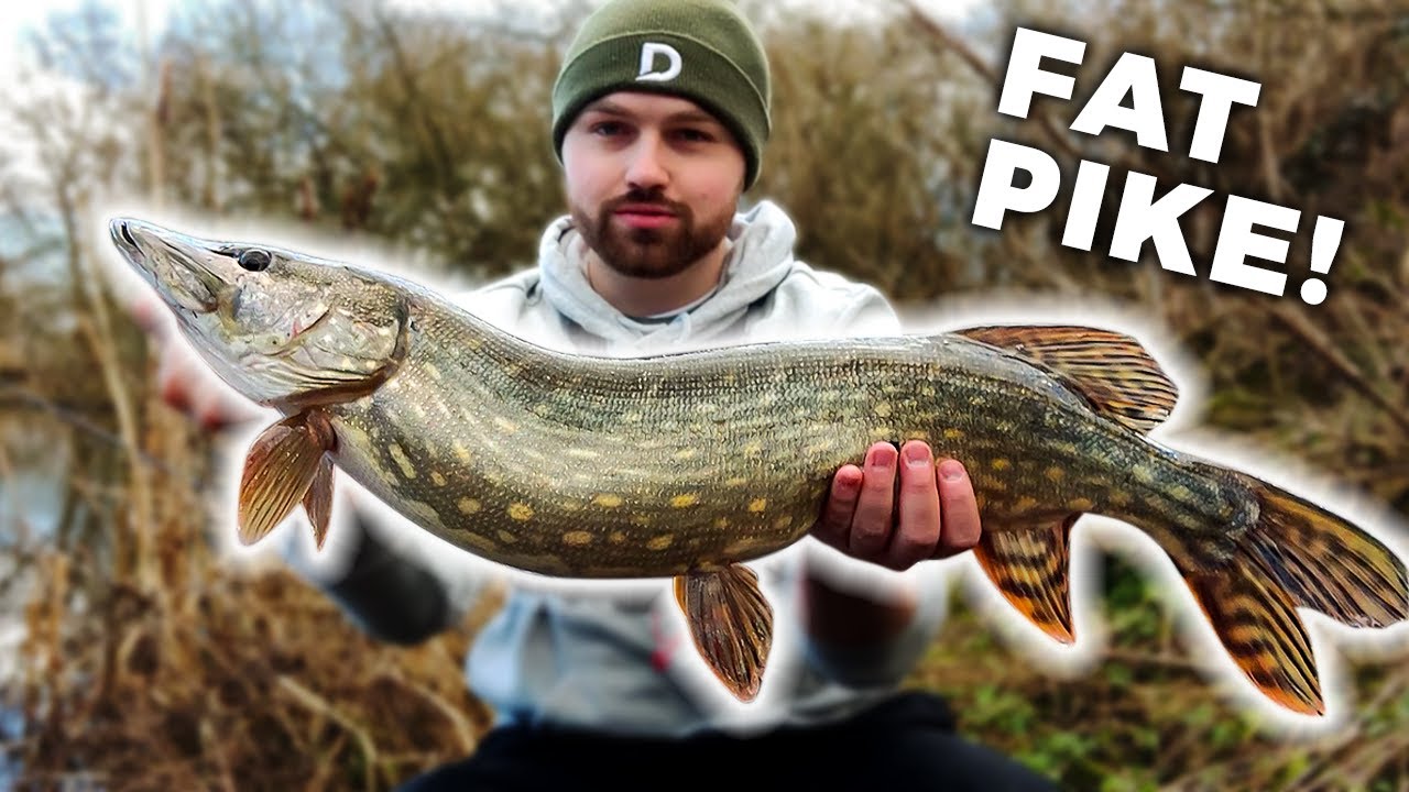 FAT WINTER PIKE On Lures - YouTube