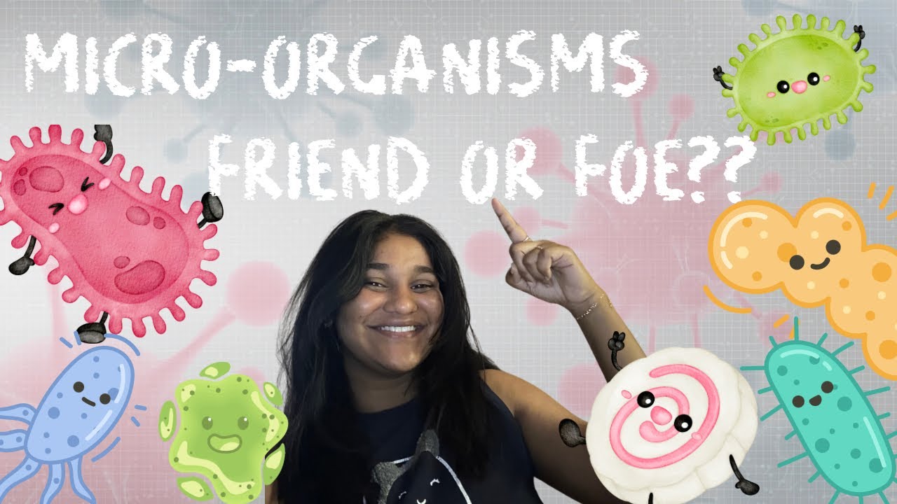 Grade 8 Science Chapter 2 Micro-organisms : Friend or Foe - YouTube