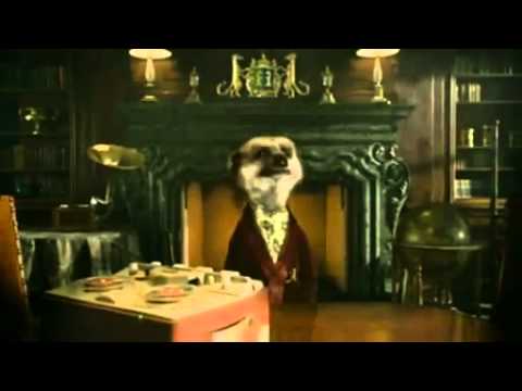 Compare the Market.com Advert 2009 - YouTube