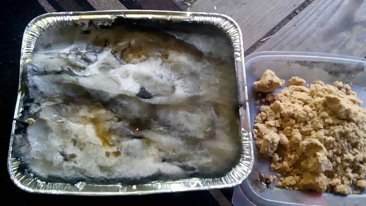 Making IMO 2 indigenous microorganisms for organic gardening self ...