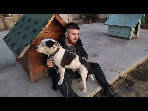 EVLATLARIMI NEDEN TOPRAĞA VERDİM? 😢