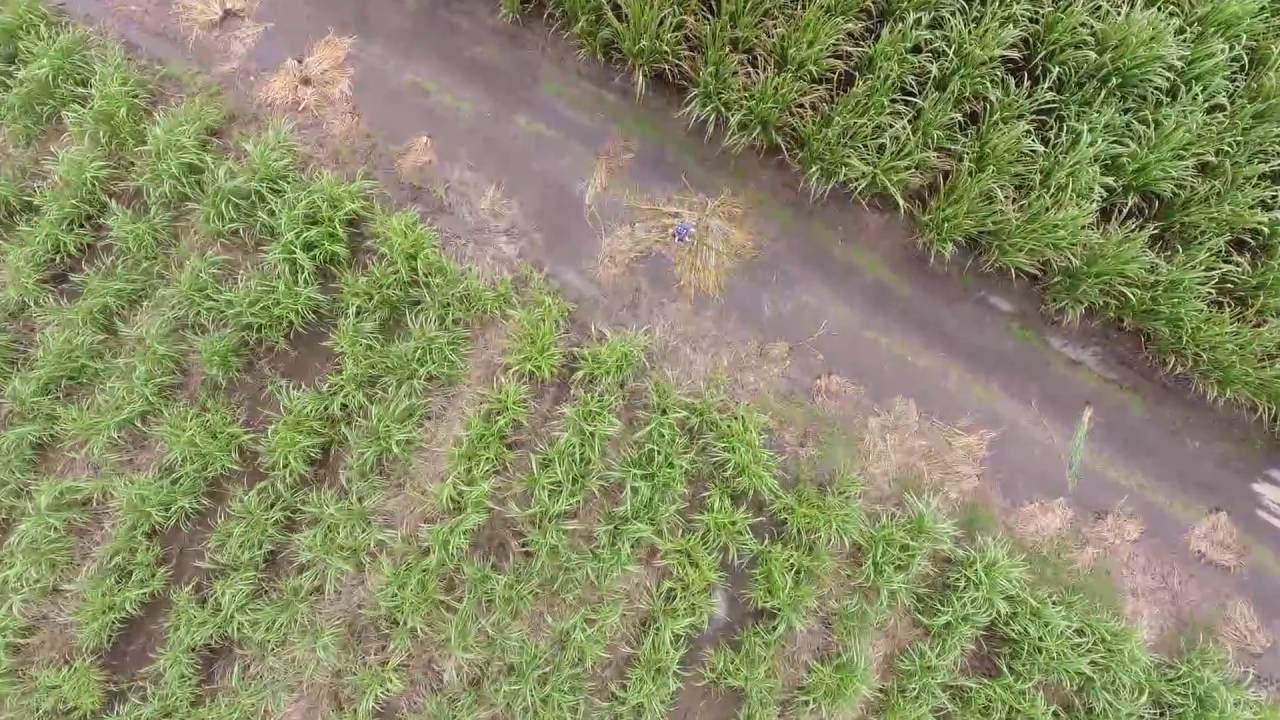 Aerial Footage - Worthy Park - YouTube