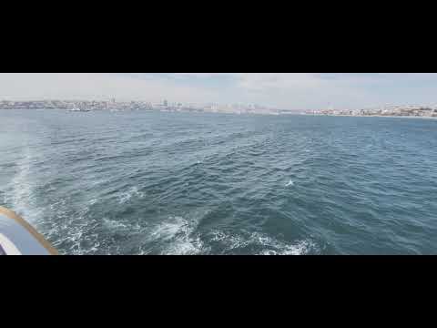 Siyah Gergedan - Fezada Mırıldanış