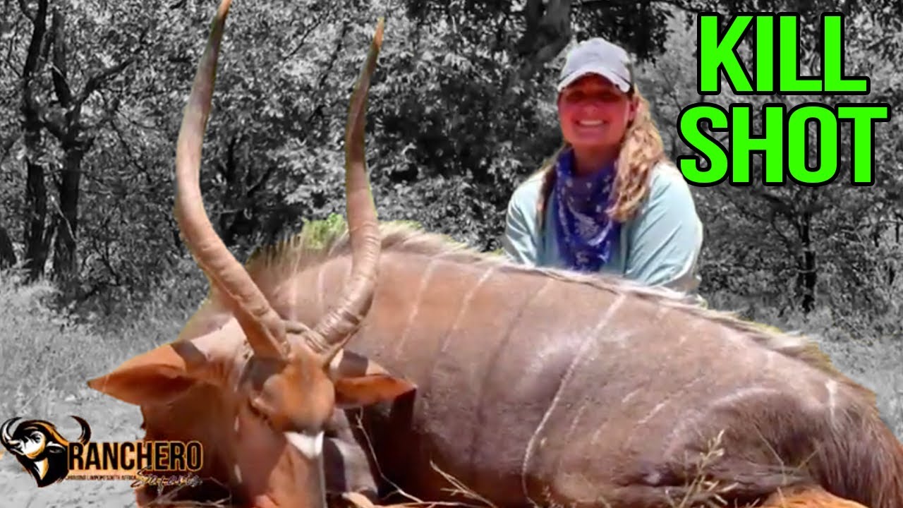 Nyala Kill Shot (MONSTER Bull) Hunting South Africa - YouTube