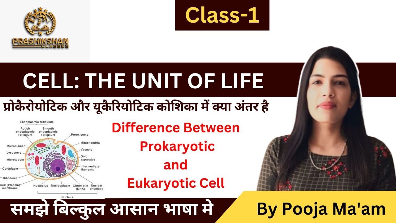 BIOLOGY | CELL STRUCTURE | MEANING AND ITS TYPES | CLASS 1 - YouTube