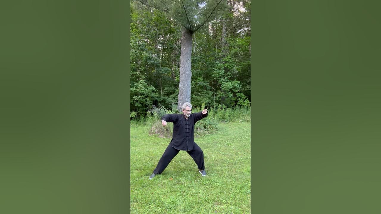 Chen Tai Chi Cannon Fist Form 1st Quarter - YouTube