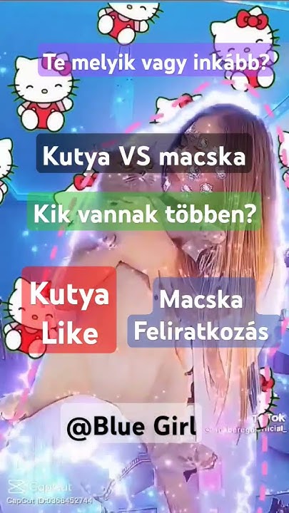 kutya VS macska - YouTube