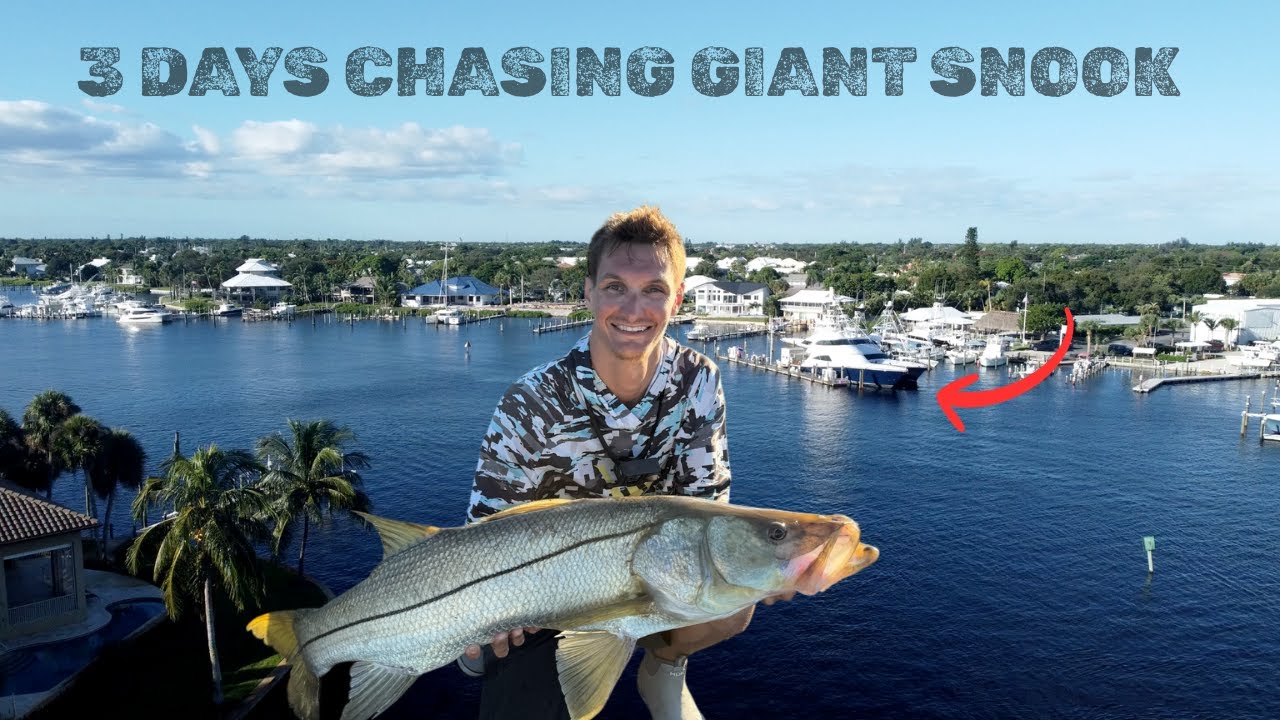 3 days fishing the MOST expensive bait money can buy to catch GIANTS ...