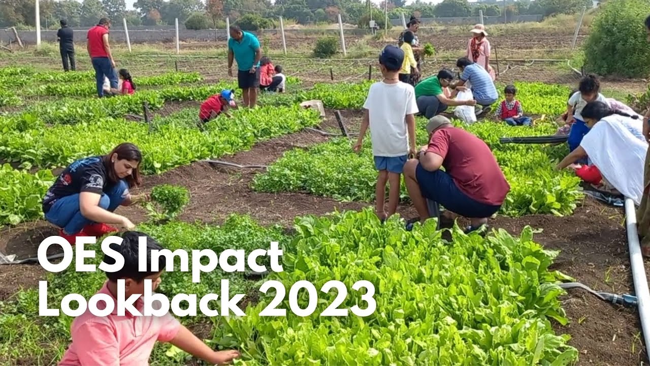OES Impact Lookback 2023 - YouTube
