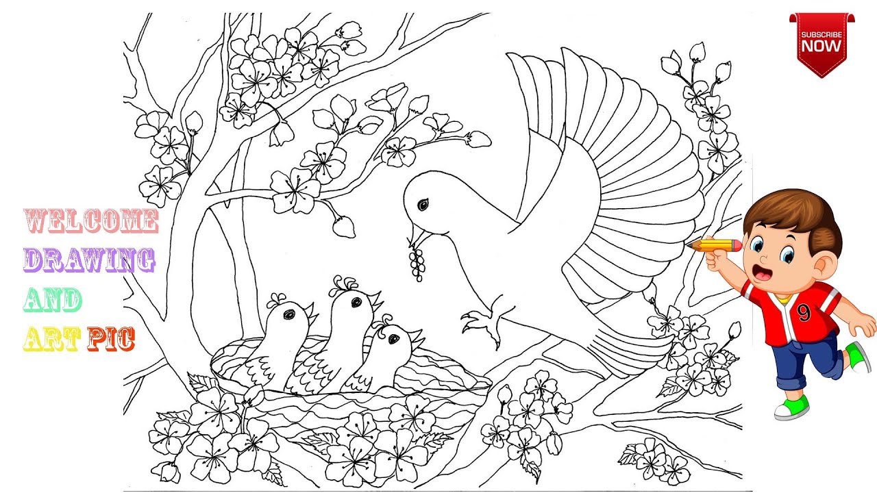 HOW TO DRAW-CUTE BIRD-FAMILY BIRDS-ANIMALS FAMILY-EASY DRAW AND ART PIC ...