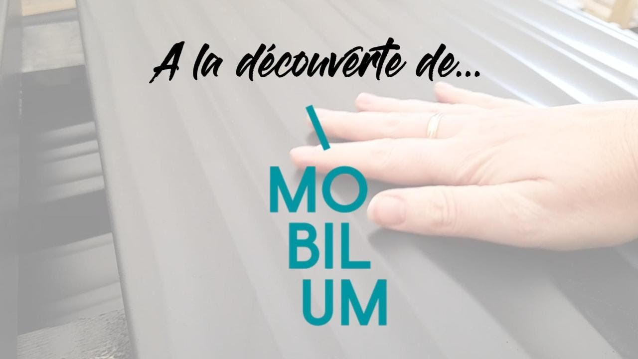 A la découverte de Mobilum - YouTube