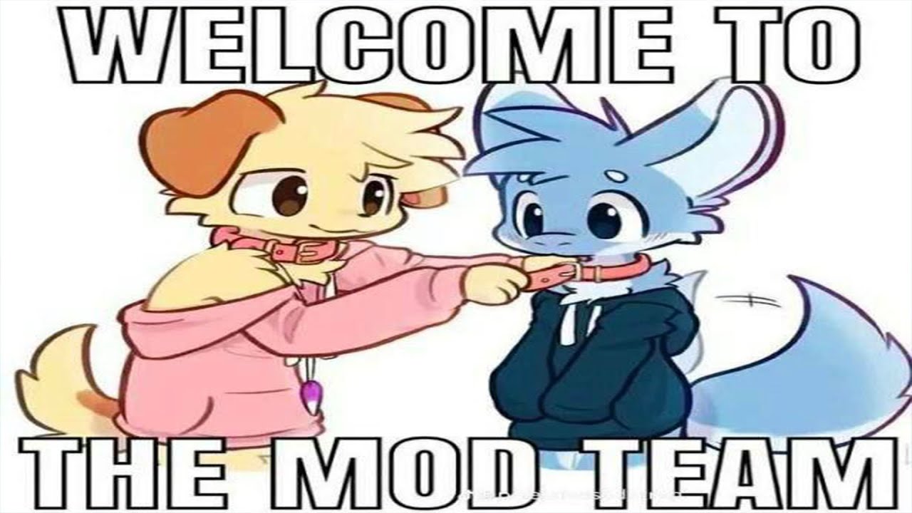 r/Furry_IRL Memes that are... umm... INTERESTING! - YouTube