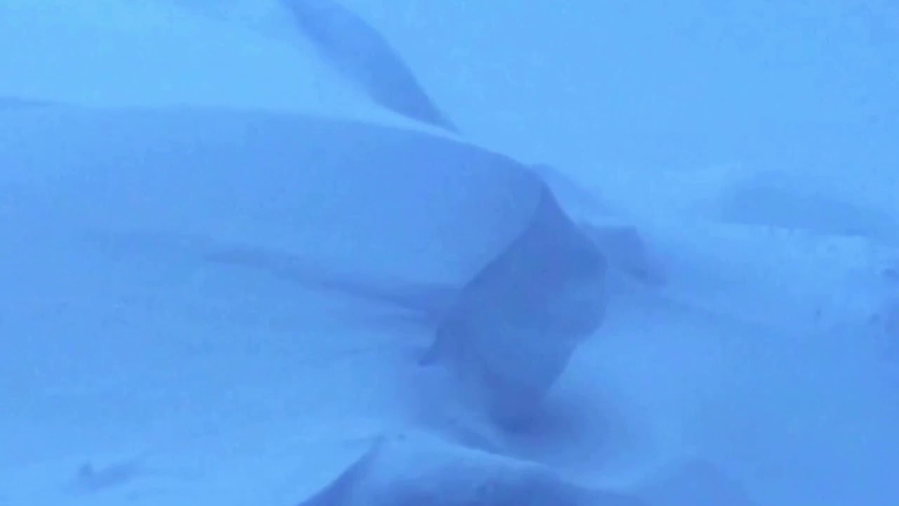 Luke Skywalker vs Wampa Scene (VFX & SFX Remake) - YouTube