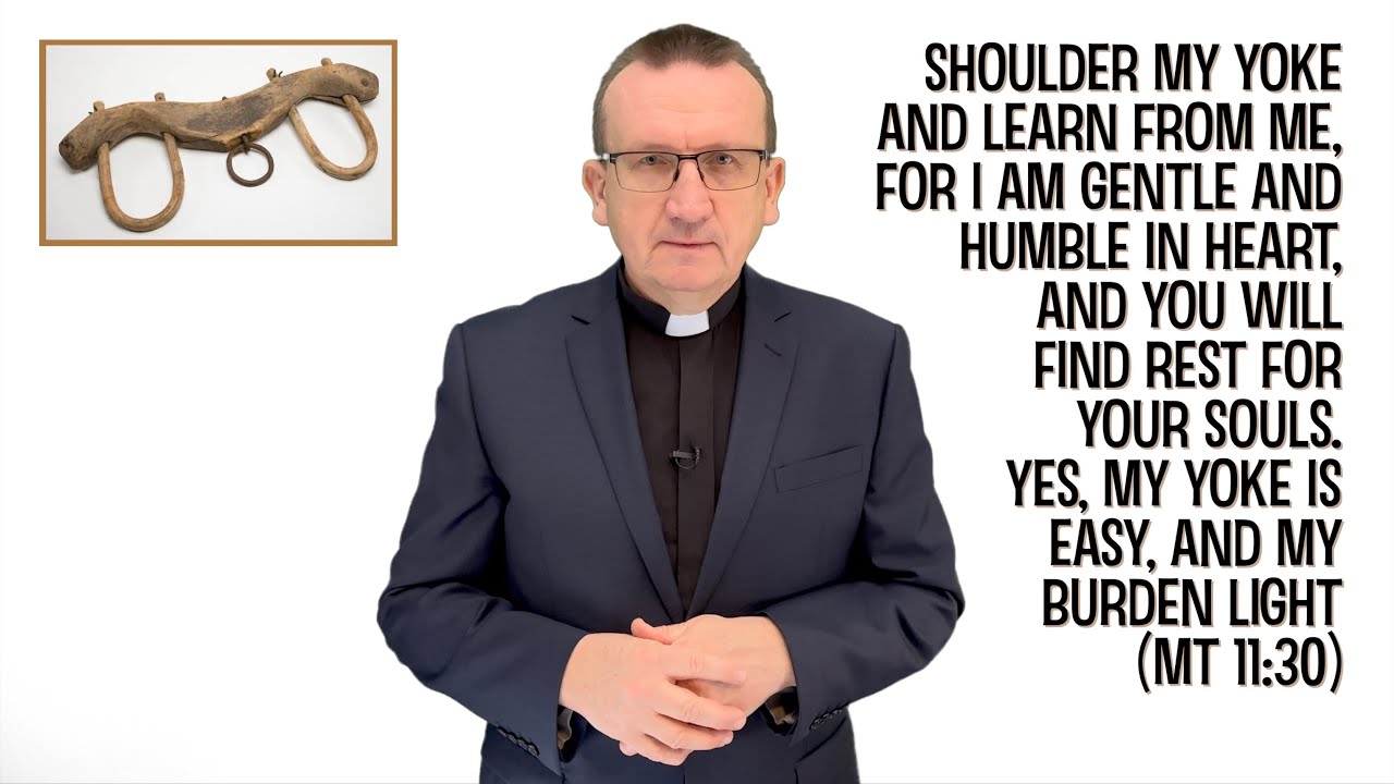 Homily For The 14th Sunday In Ordinary Time A Matthew 11 25 30 9 July
