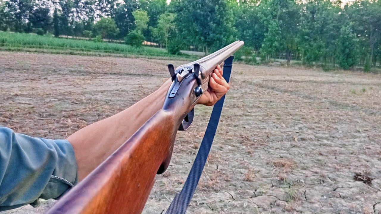 How to Aim a Double Barrel Shotgun Like a Pro - Double Barrel Shotgun ...