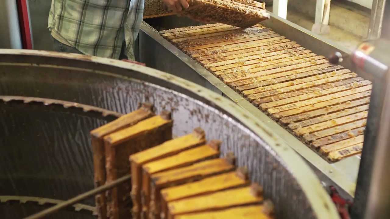 Video | National Honey Board