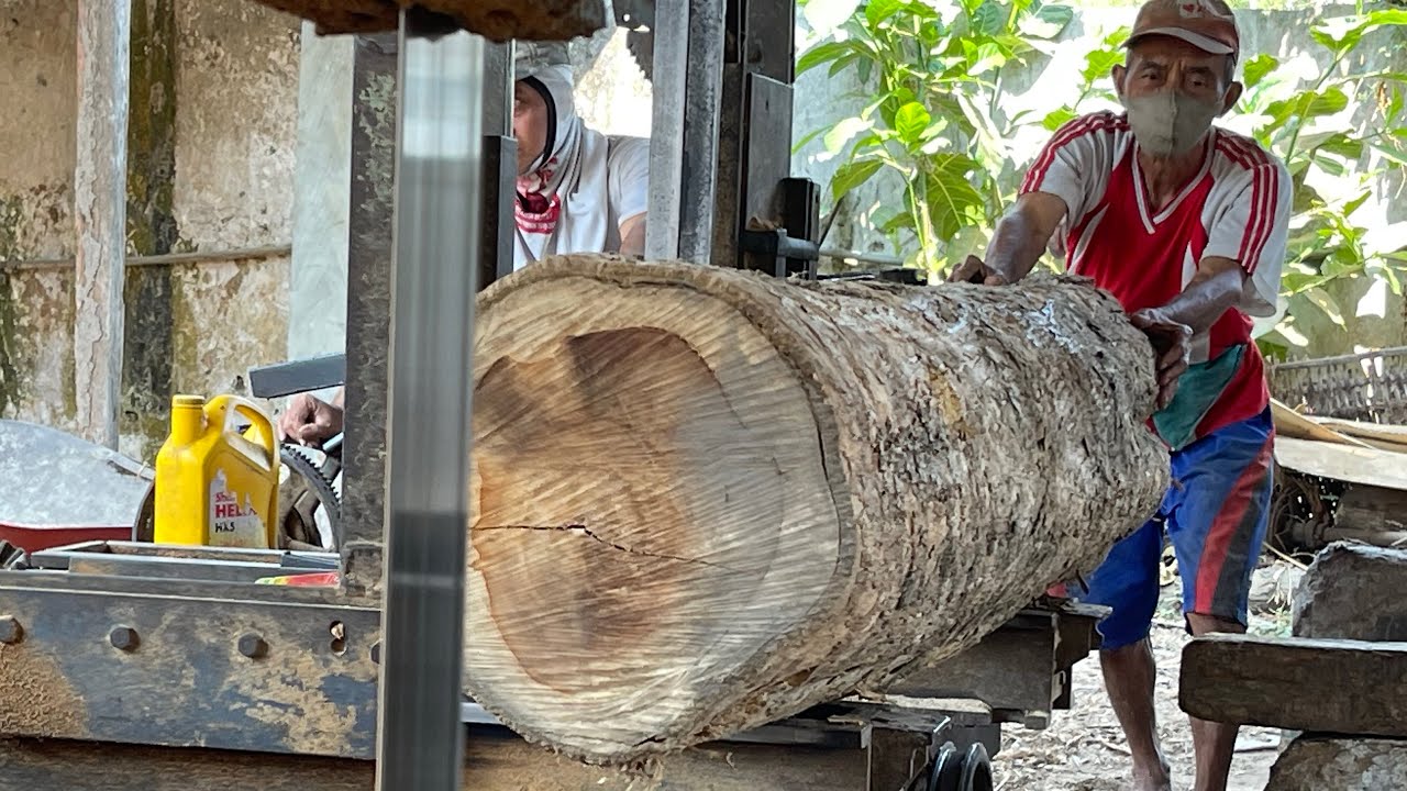ABOUT THE SAWMILL|| put the boss out of business, it turns out this is ...
