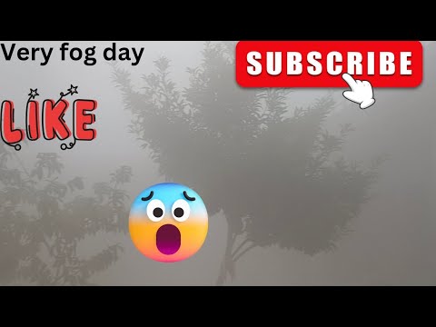 so much fog 🌫️🌫️🌁 - YouTube
