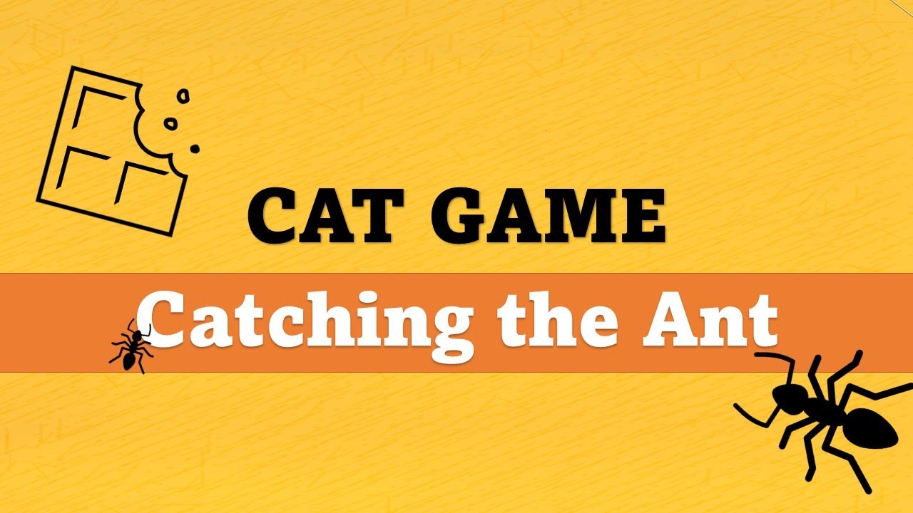 Games for Cats- Ant Hunting. Ant Video for Cats to Enjoy. - YouTube