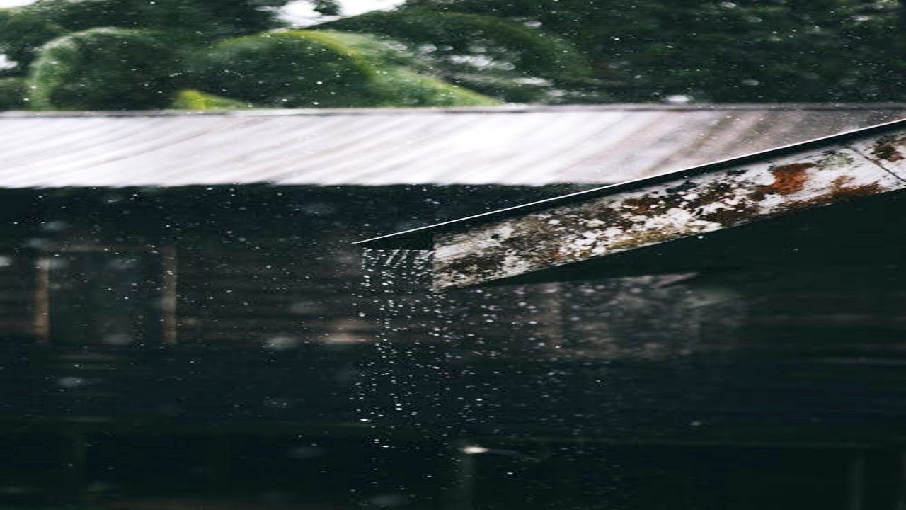 Relaxing Sounds of Rain on a Tin Roof - ASMR RAIN ON TIN ROOF - YouTube