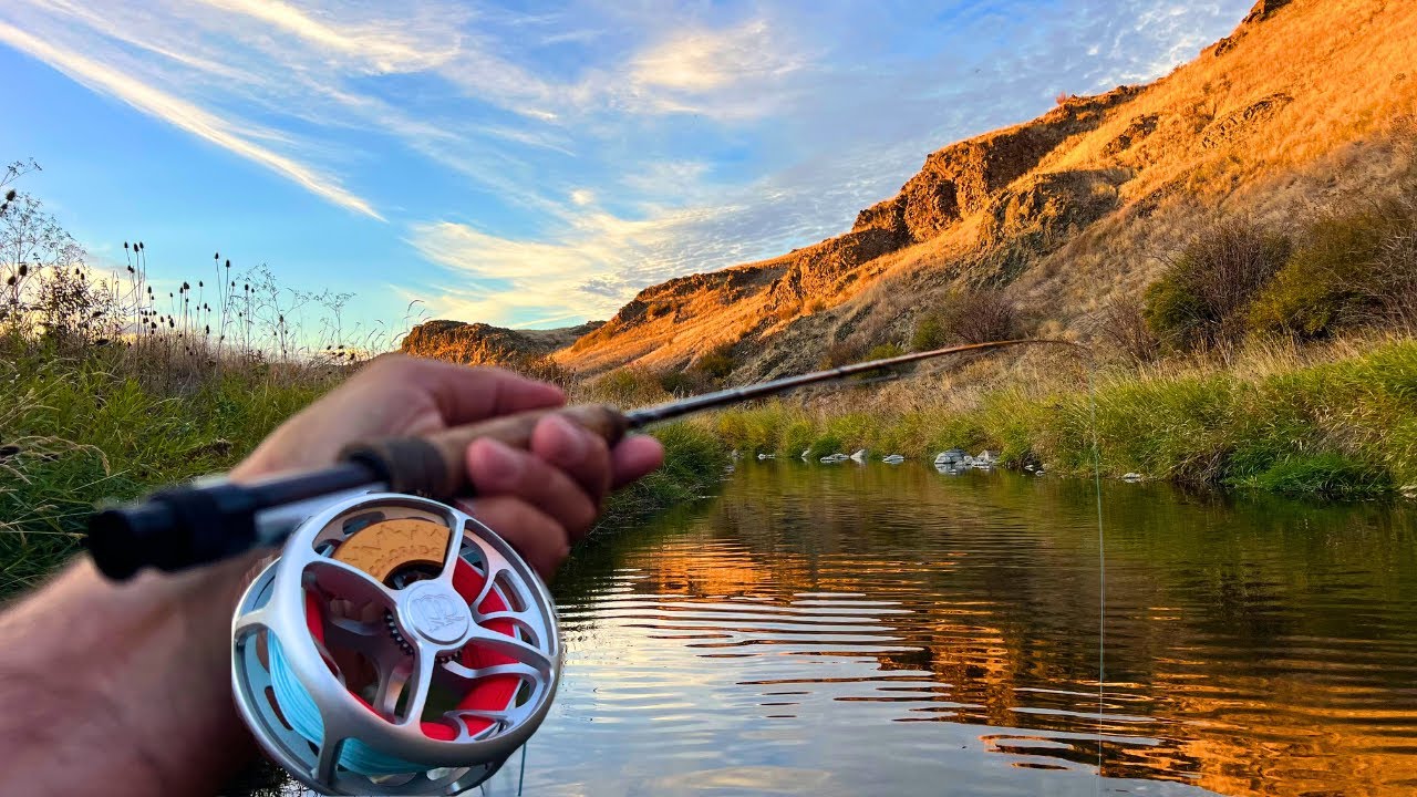 Remote & Alone & Off the Grid (Fly Fishing) - YouTube