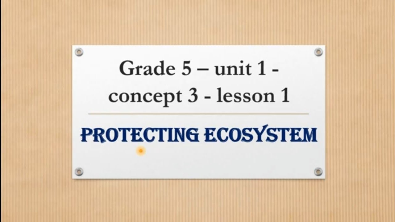 Protecting Ecosystem- Grade 5 - first term-unit 1 - concept 3 - lesson ...