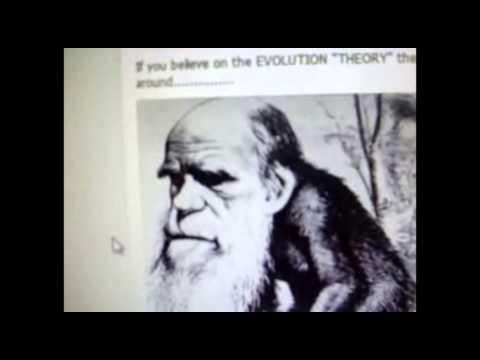 Darwin said "Monkeys"! NOT a common ancester. Ry Dawson - Dumb Ass of ...