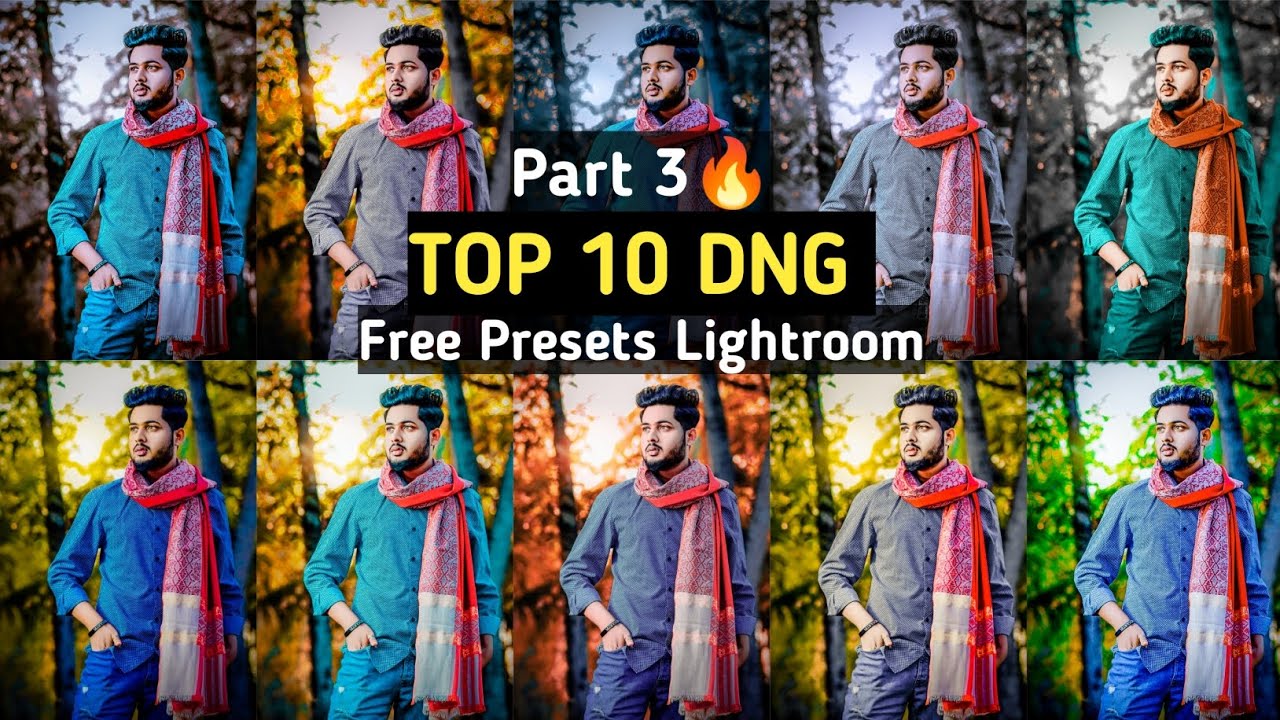 Top 10 DNG Lightroom Presets Part 3🔥 || Adobe Lightroom Presets || Free ...
