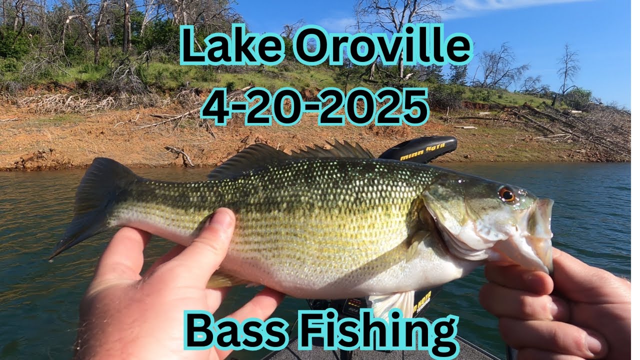 Lake Oroville Bass Fishing April 20, 2025 - YouTube