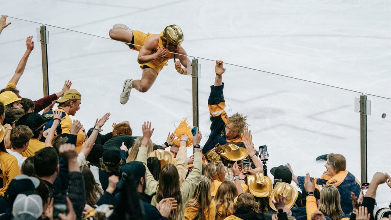 This fan is an absolute LEGEND - YouTube