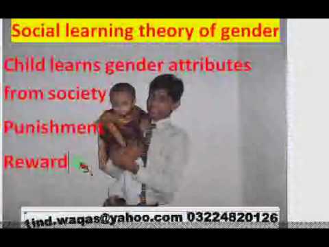 social learning theory of gender. - YouTube