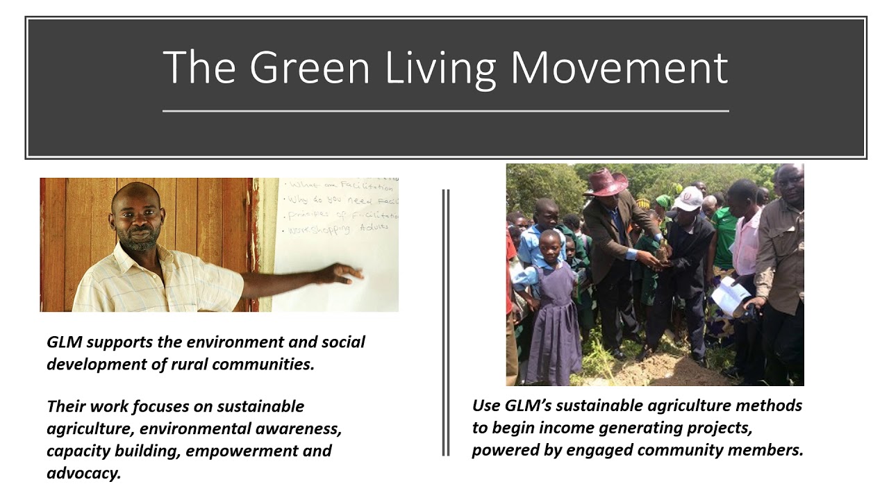 Build a School Feeding Program Plan - YouTube