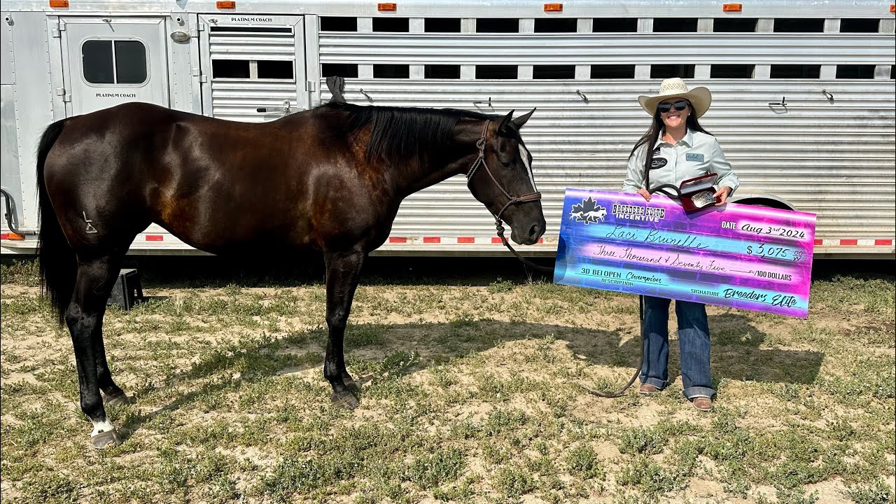 5yr old Perks Alive N Famous - 2024 Alberta Barrel Racing Association ...