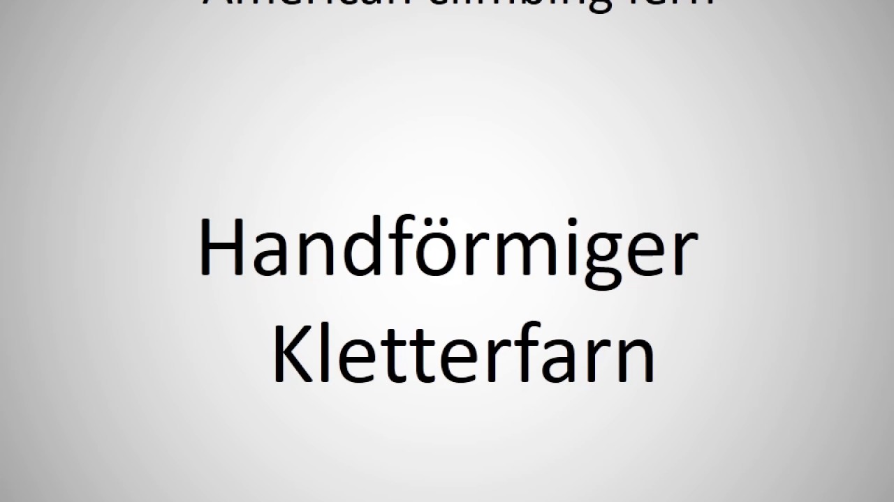 How to say American climbing fern in German? - YouTube