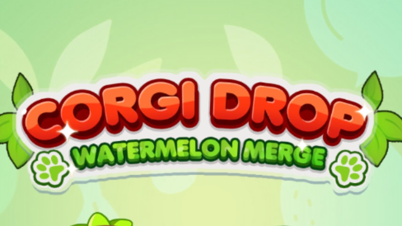 Corgi Drop: Watermelon Merge (Gameplay Android) - YouTube
